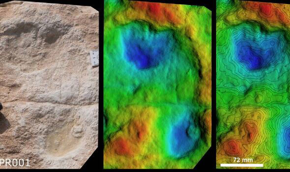 Archaeologists stunned as 115,000-year-old human footprints found in ... Archaeologists stunned as 115,000-year-old human footprints found in ...