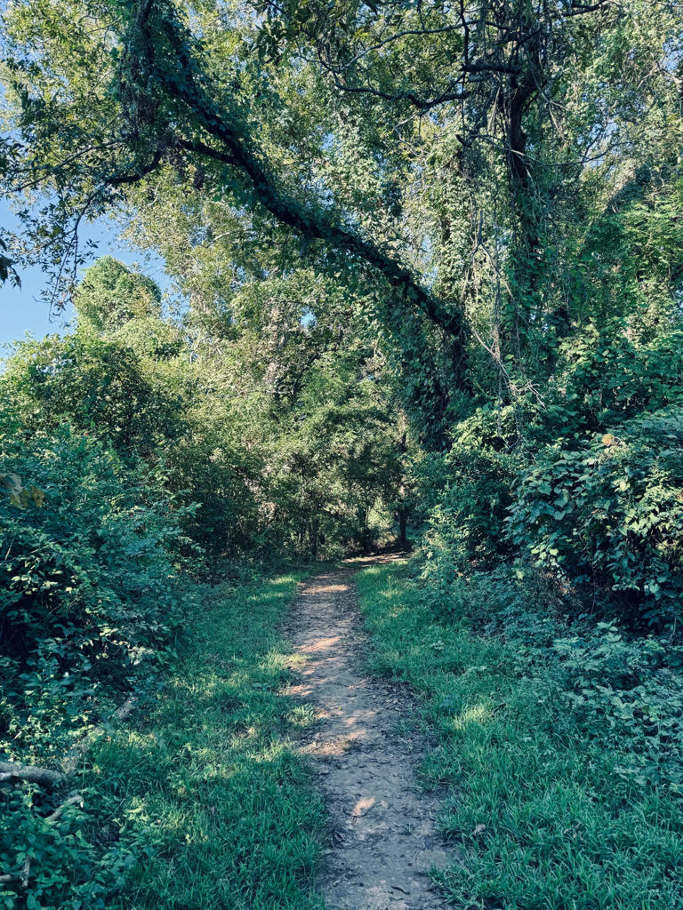 Walk Red River trails on Jan. 1st, receive a free pin
