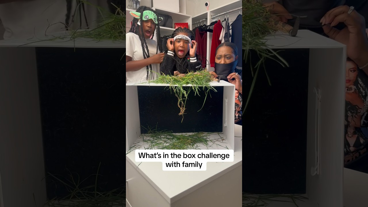 What’s in the Box? The Shocking Surprise Inside!