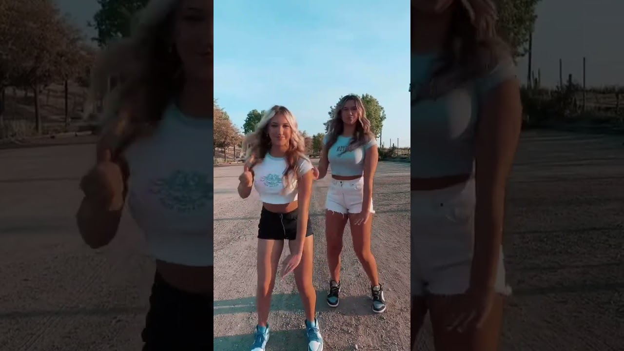Rollercoaster Ride Dance Trend Performed By Sisters