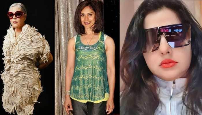 New Year 2025: Zeenat Aman To Meenakshi Sheshadri Veteran Actresses Set To Make Comebacks This Year