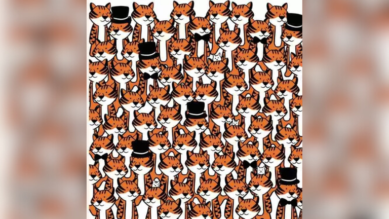 Optical illusion: Only a true cat lover can spot 4 hidden kitties in 10 ...