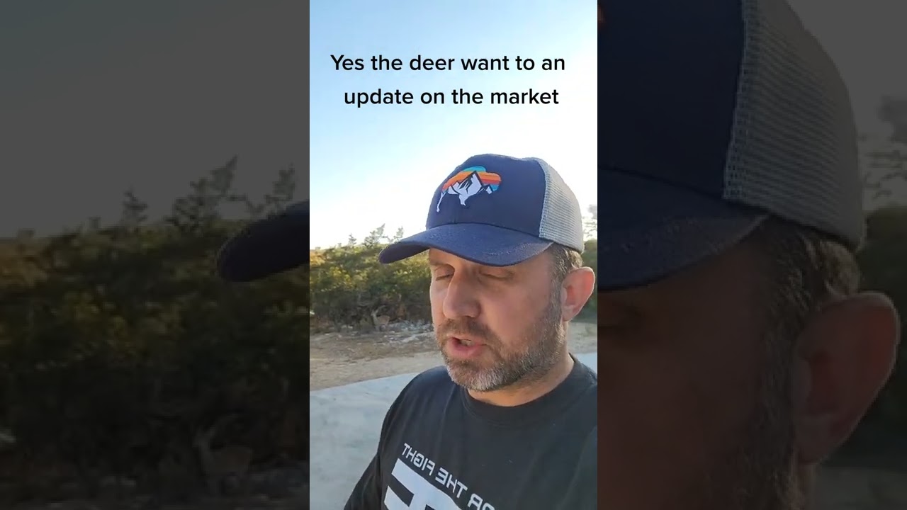 Real Estate Agents Exiting the Market