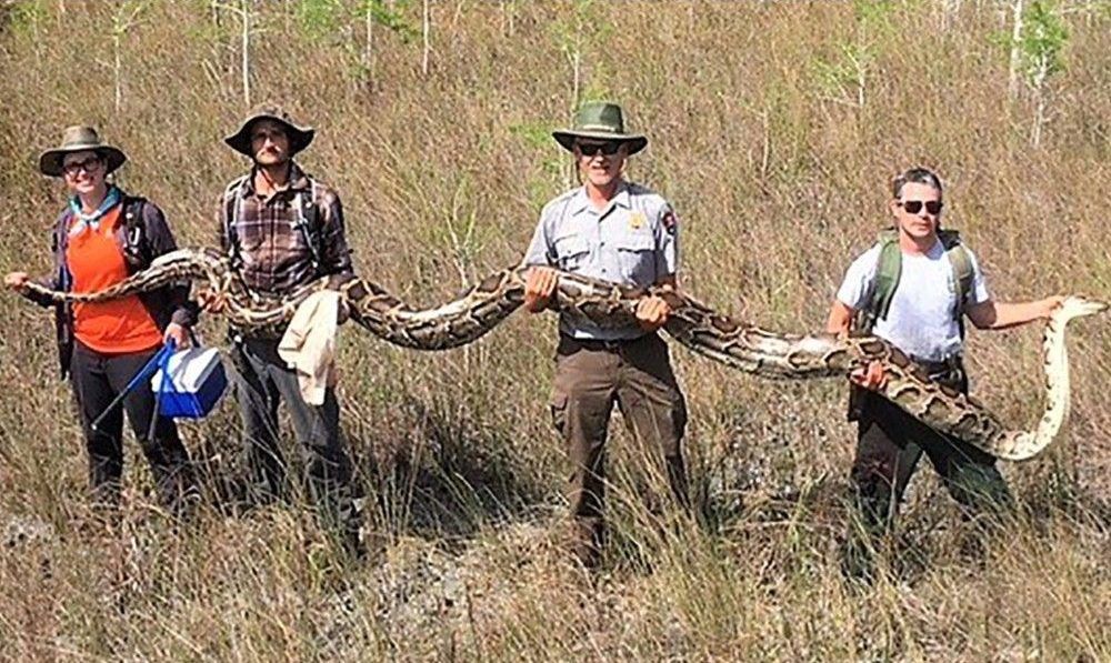 What will Year of the Snake mean for you? Chinese zodiac predictions ...