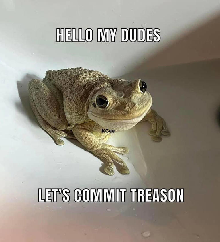 35 Funny Frog Memes To Help You Frog-et Your Worries