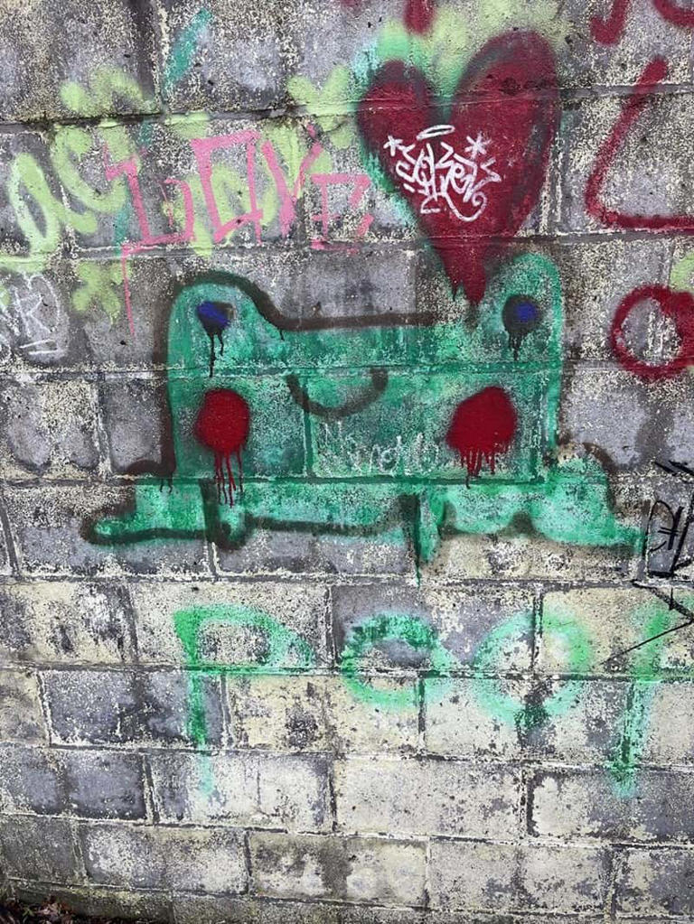 35 Funny Frog Memes To Help You Frog-et Your Worries