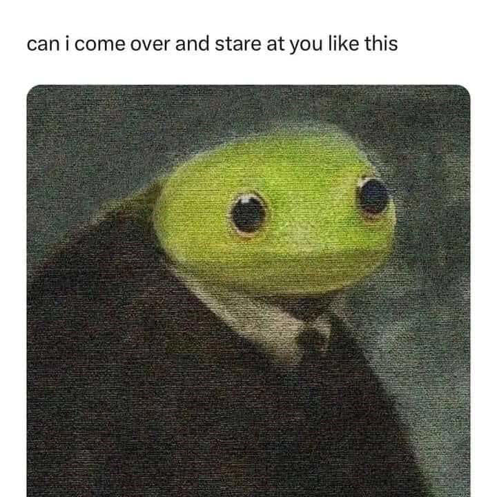 35 Funny Frog Memes To Help You Frog-et Your Worries