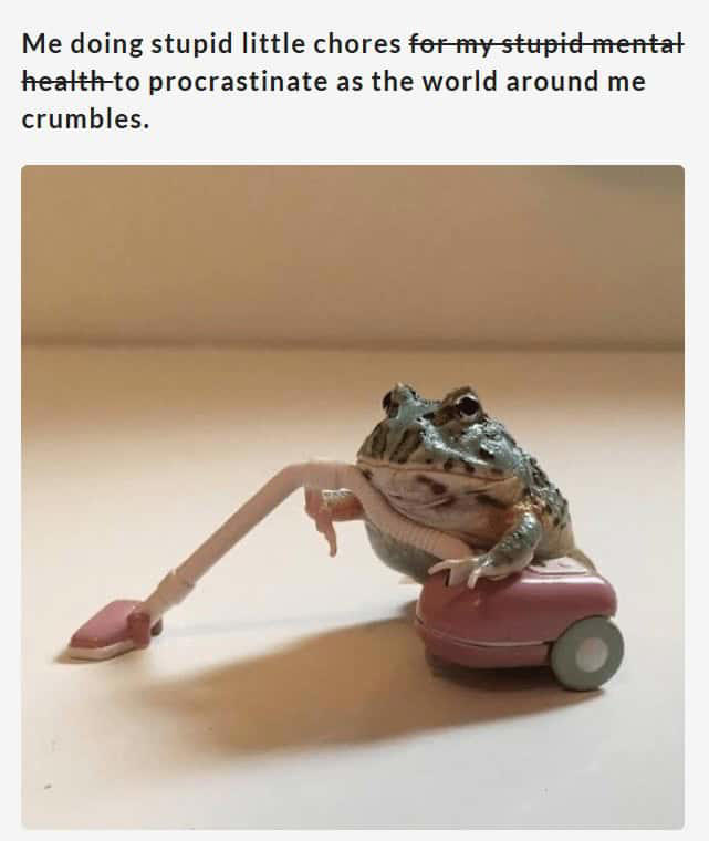 35 Funny Frog Memes To Help You Frog-et Your Worries