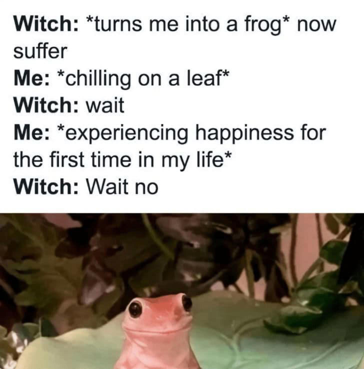 35 Funny Frog Memes To Help You Frog-et Your Worries