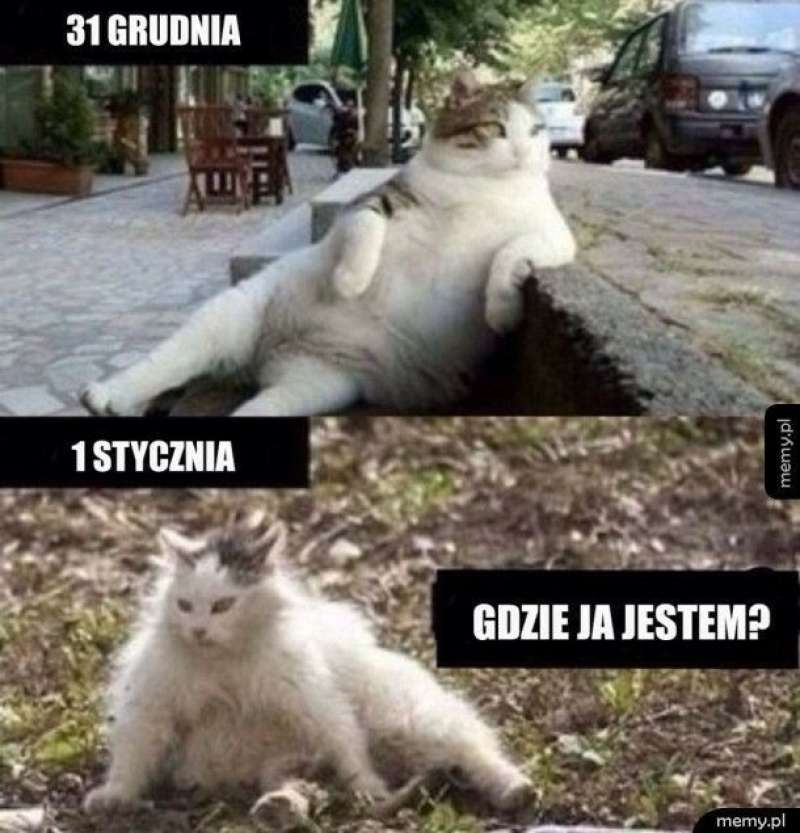 ZOBACZ najlepsze MEMY na Nowy Rok. Mogą rozbawić do łez
