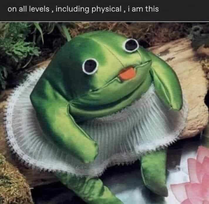 35 Funny Frog Memes To Help You Frog-et Your Worries