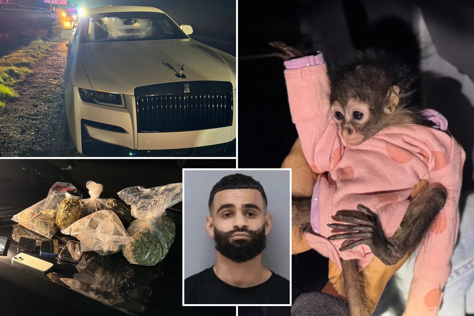 California DUI suspect busted in Rolls-Royce — with baby monkey wearing ...