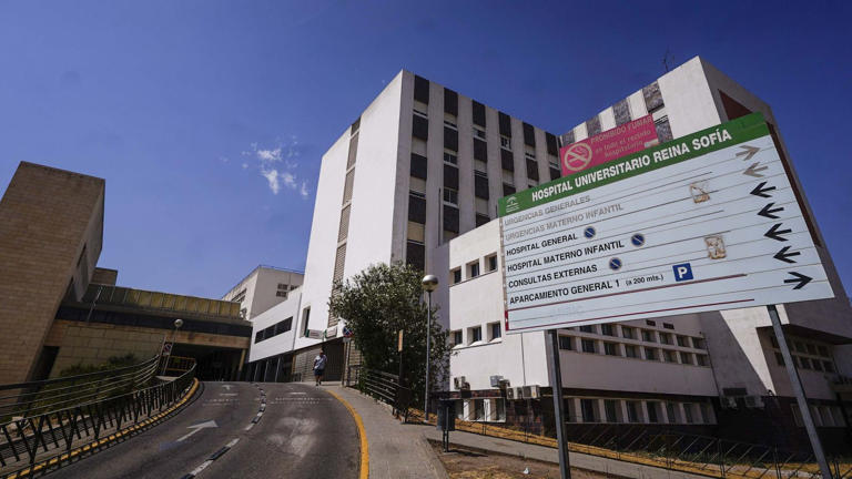 El Hospital Reina Sofía de Córdoba logra un récord con 13 trasplantes ...