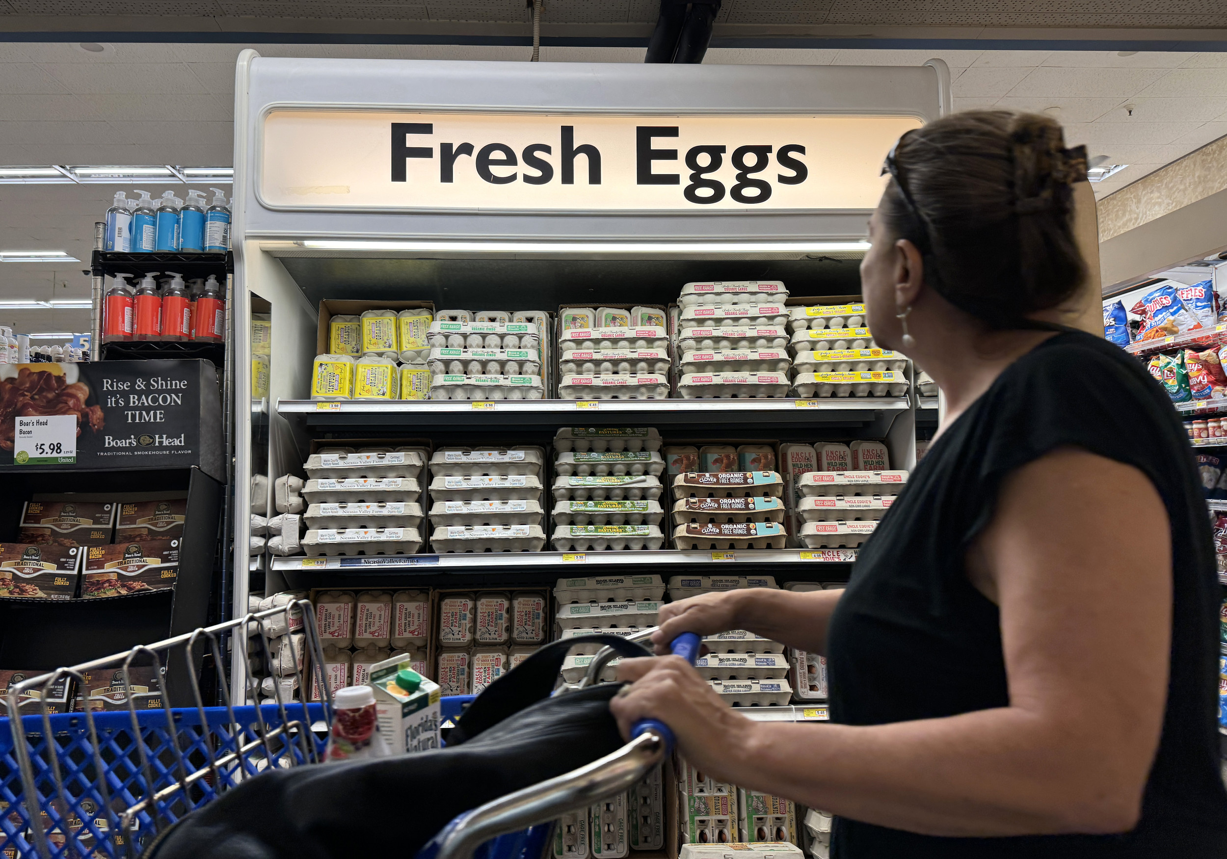 California Egg Prices Surge to Nearly $9