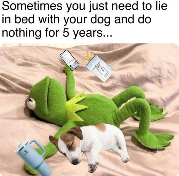 40 Funny Dog Memes That’ll Have You Howling With Laughter (January 1, 2025)