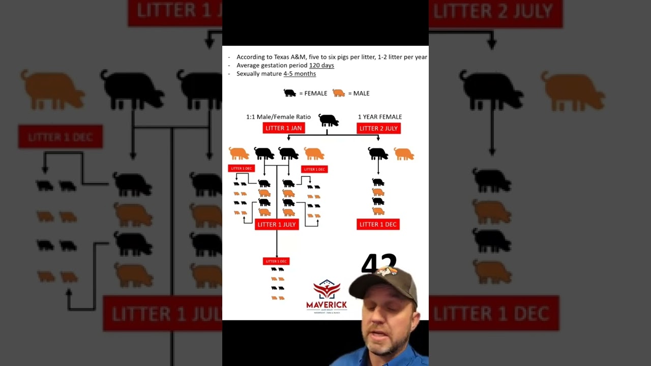 Feral Pig Reproduction Rates in the U.S.