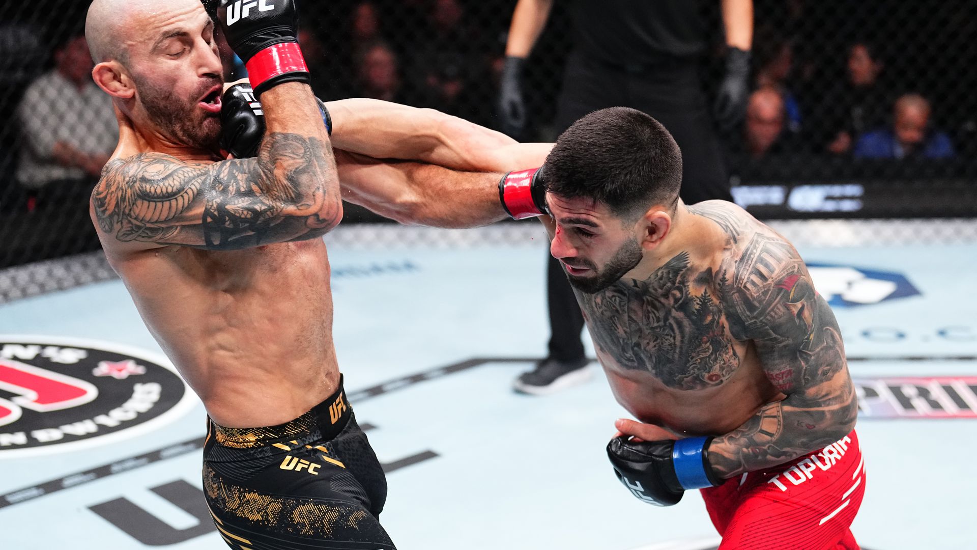 UFC 2024 Rewind! One Memorable (Or Forgotten) Moment From Every Single ...