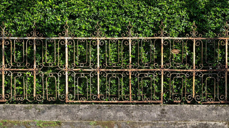 The Best Way To Prevent A Wrought Iron Fence From Rusting