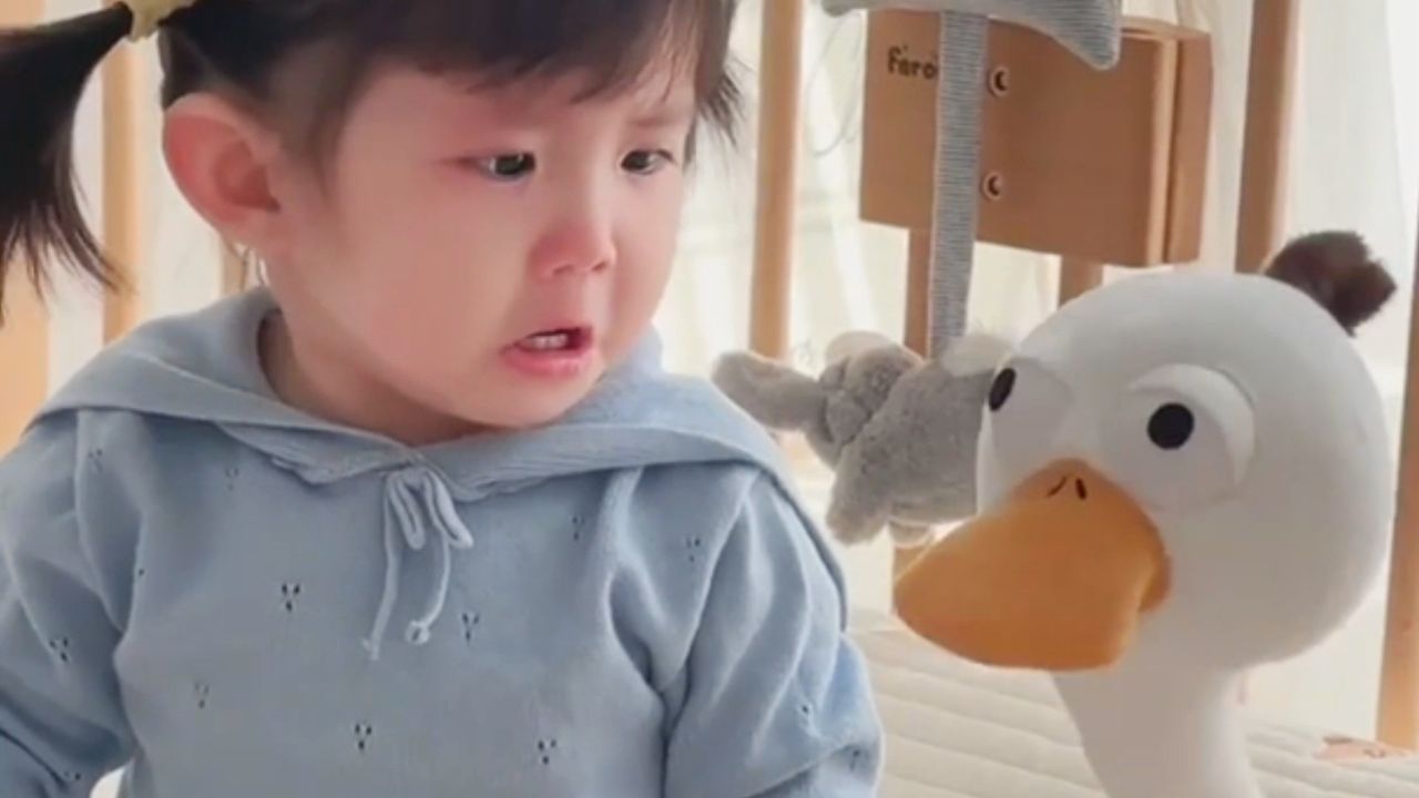 Toddler has hilarious reaction to interactive duck toy