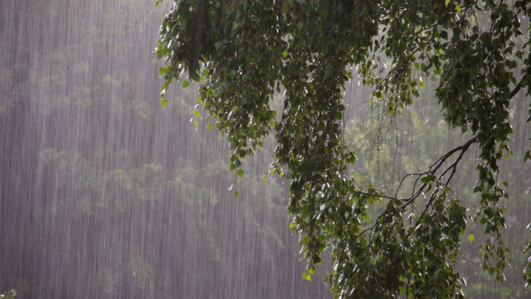 LPA develops into tropical depression Fabian