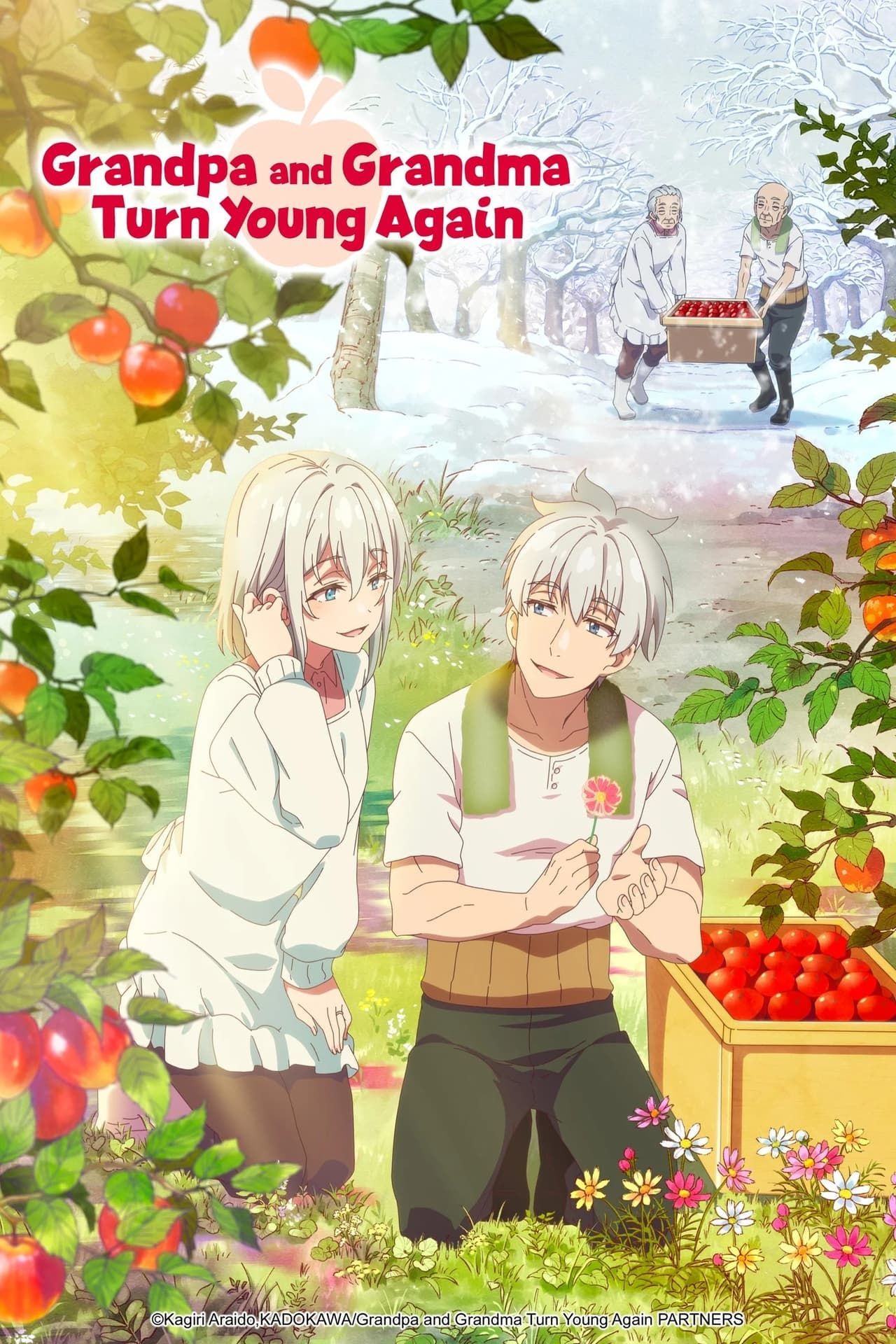 The 30 Best Adult Romance Anime of All Time