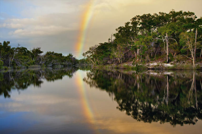 Stats and Snaps: Week 17 Commanders vs Falcons