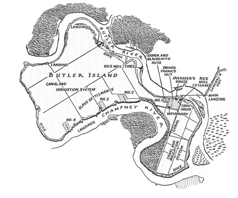 Inside the Struggle to Preserve Georgia's Butler Island, Home to a ...