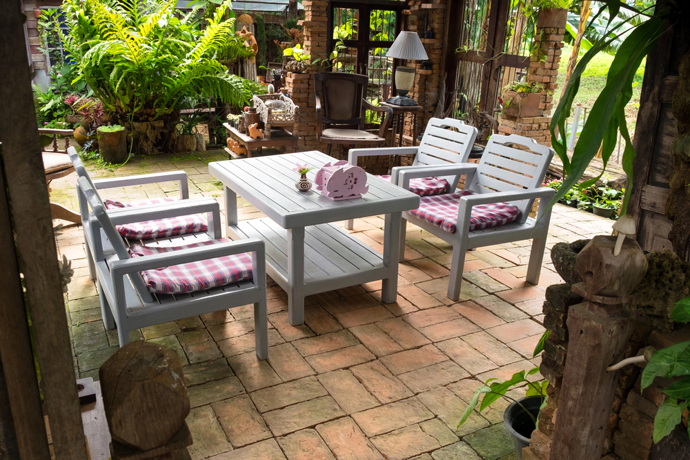 Ideas for backyard privacy on a budget