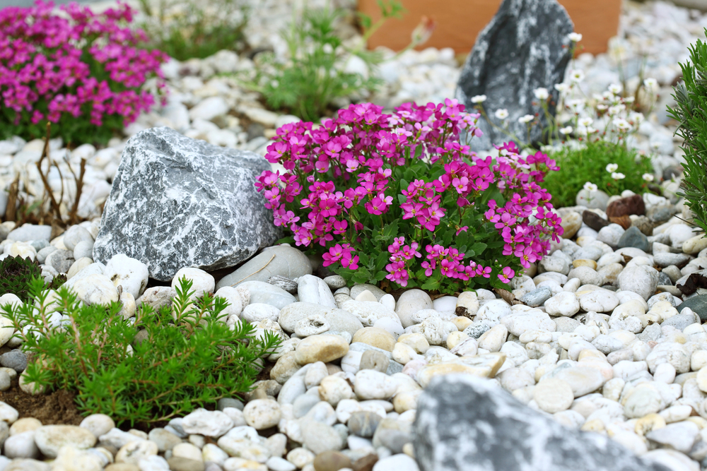 15 gorgeous drought-resistant flower bed ideas for low-water gardening