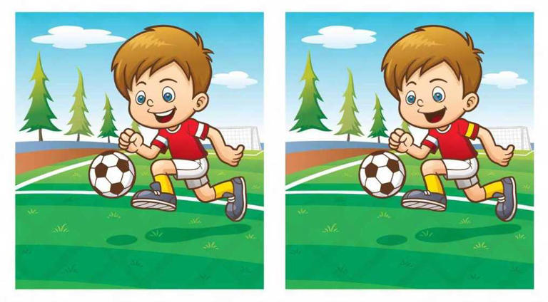 Spot the Difference: Can You Find 5 Differences in 17 Seconds?