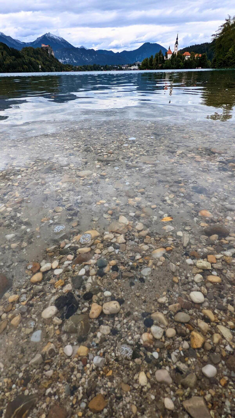 What to Do on a Family Trip to Lake Bled, Slovenia