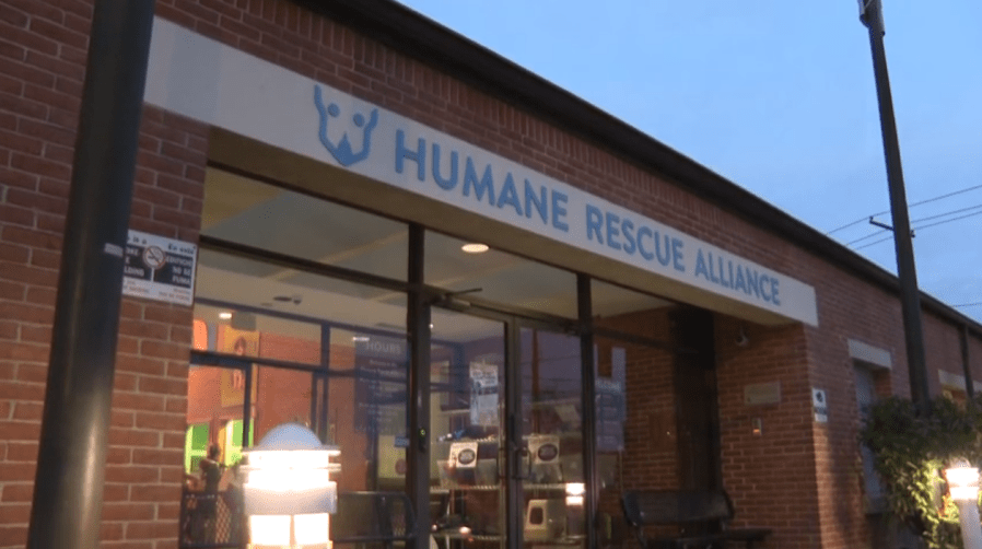 Humane Rescue Alliance reaches goal, over 100 dogs find foster homes