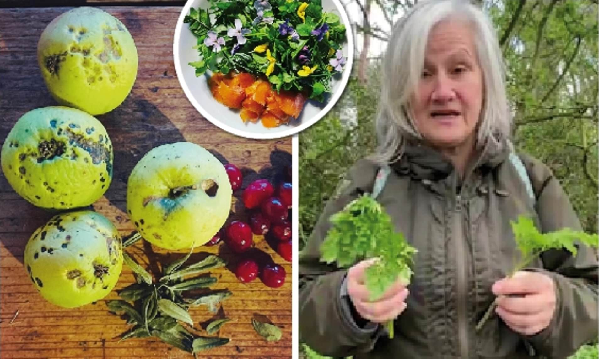 Meet the woman who turned to foraging all her food from the forest
