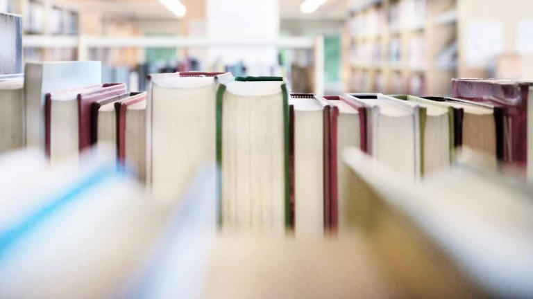 Multnomah County Library unveils most checked-out books of 2024