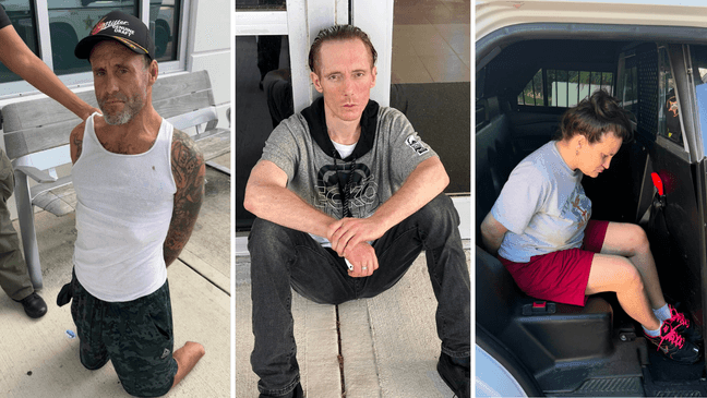 Legless man ditches wheelchair for getaway car after allegedly stealing ...