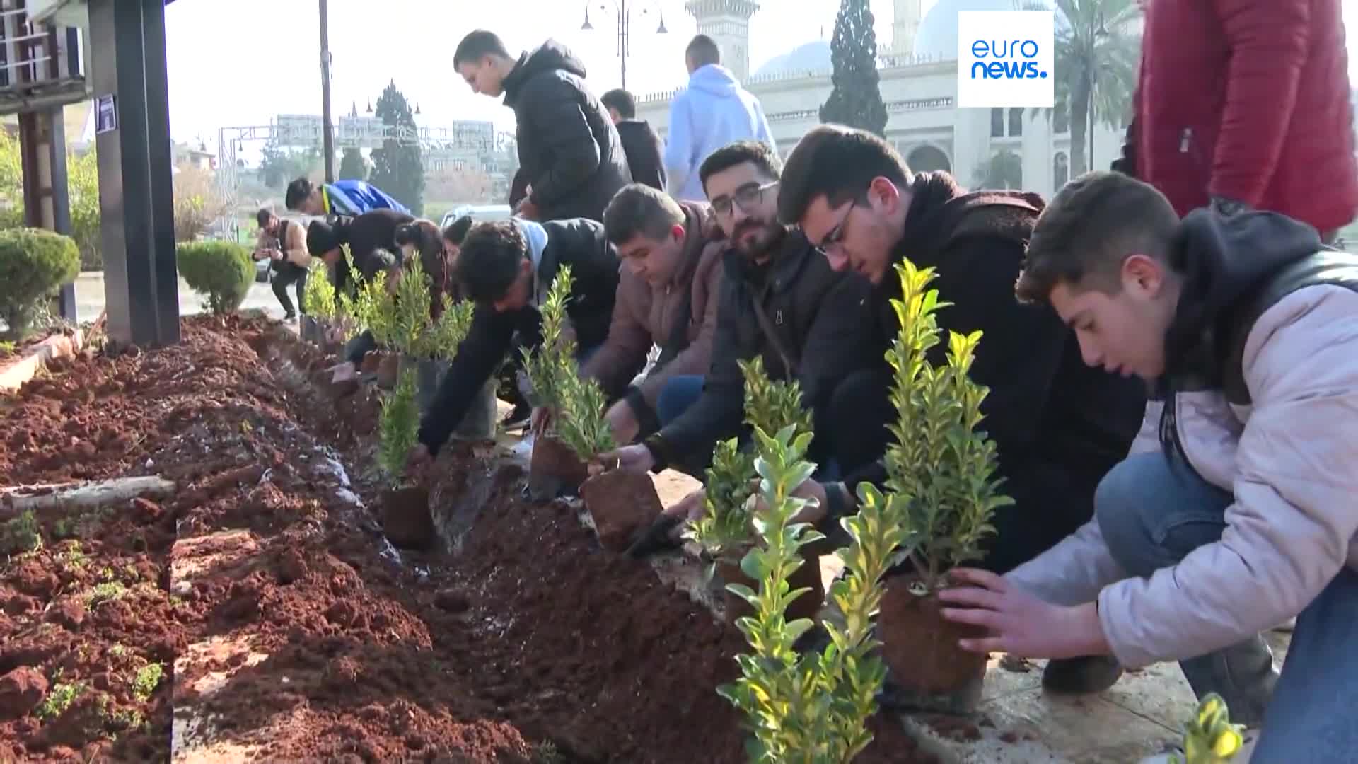 Volunteers plant trees as Syria's battered Aleppo returns to life
