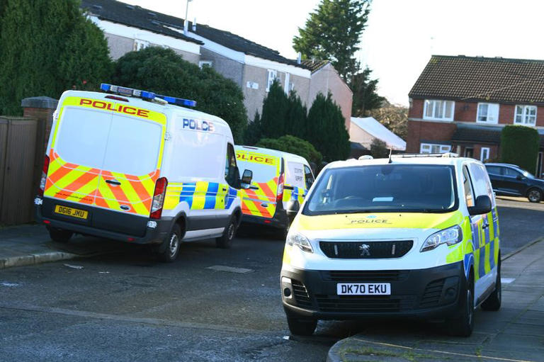 She led 'blameless life' but five years later she was in court for murder