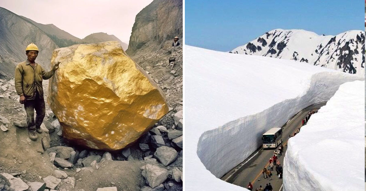 36 Intriguing Pictures of the Variety of Our World