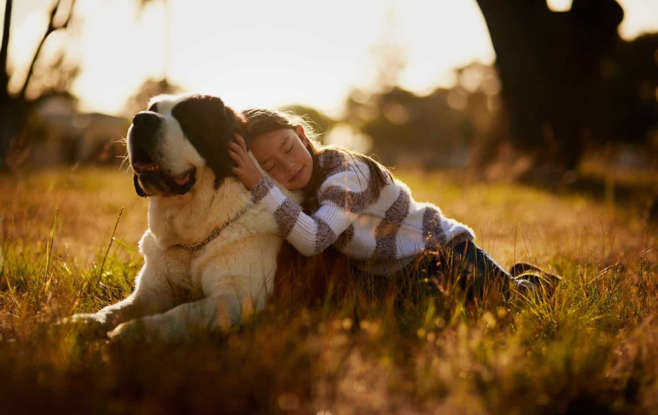 Top 11 Ways Dogs Show You They’re Always by Your Side Top 11 Ways Dogs Show You They’re Always by Your Side