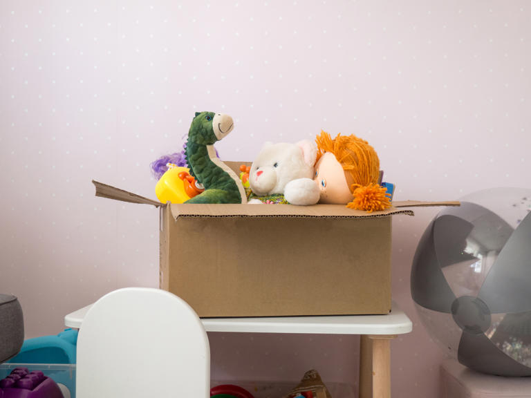 How to Create a Cozy Pet Corner