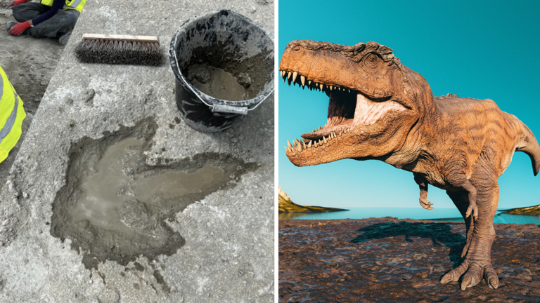UK’s biggest-ever dinosaur trackway dating back to 166 million years ... UK’s biggest-ever dinosaur trackway dating back to 166 million years ...