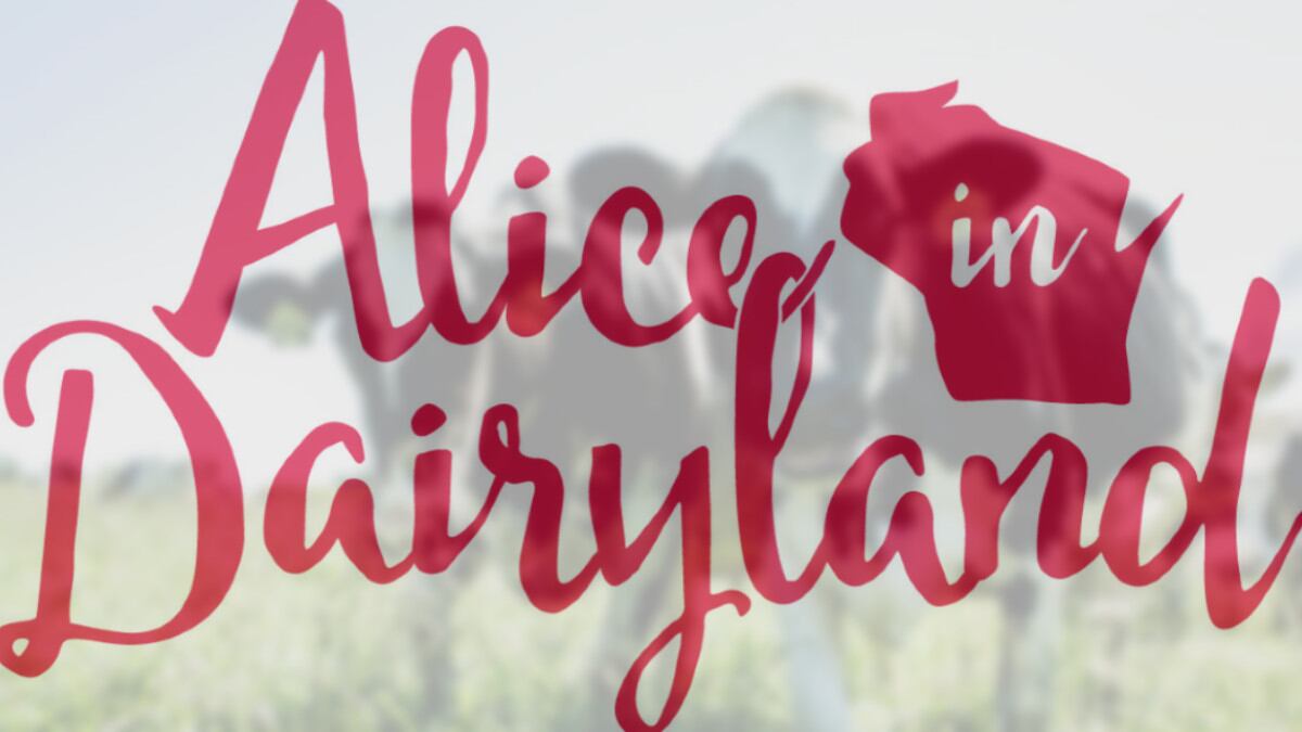 78th Alice in Dairyland Applications Open Through January 31