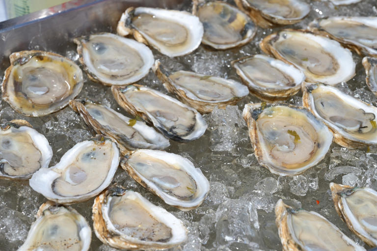 Oyster Recall Sparks Fourth Warning by FDA Over Norovirus Fears