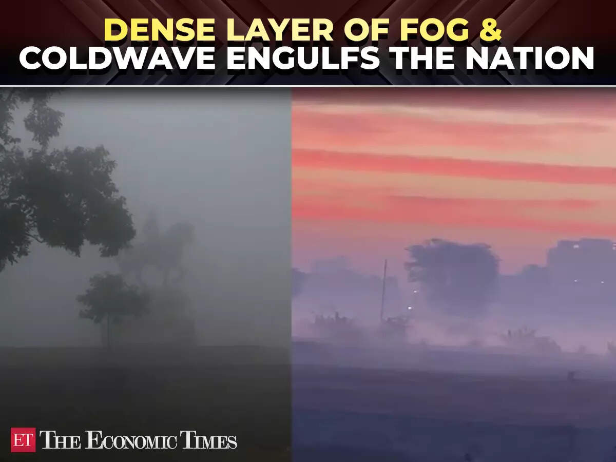 Dense layer of fog blankets parts of Delhi, UP, Rajasthan, MP, Punjab ...