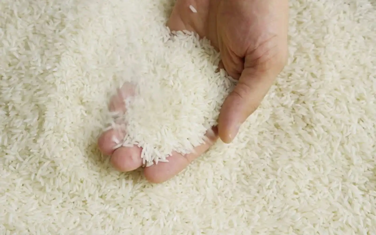 No talk of importing white rice from Pakistan, says Bernas