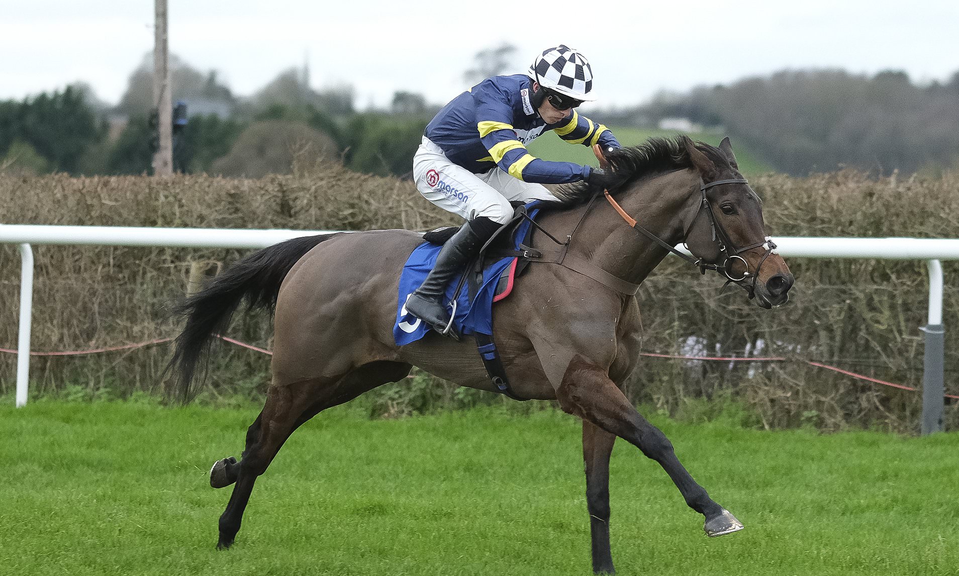 Robin Goodfellow's racing tips: Best bets for Friday, January 3