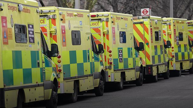 Ambulance, GP and emergency care waits among biggest NHS concerns - poll