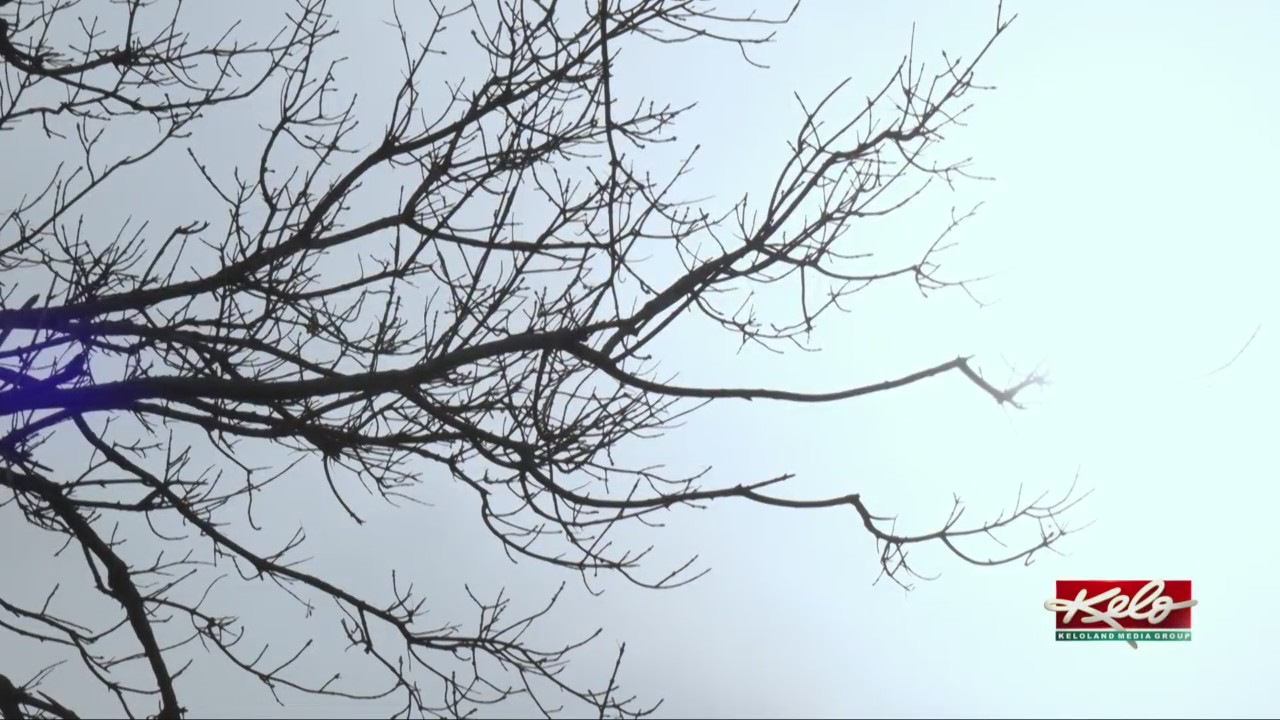 Snow has been lacking for a wide variety of reasons