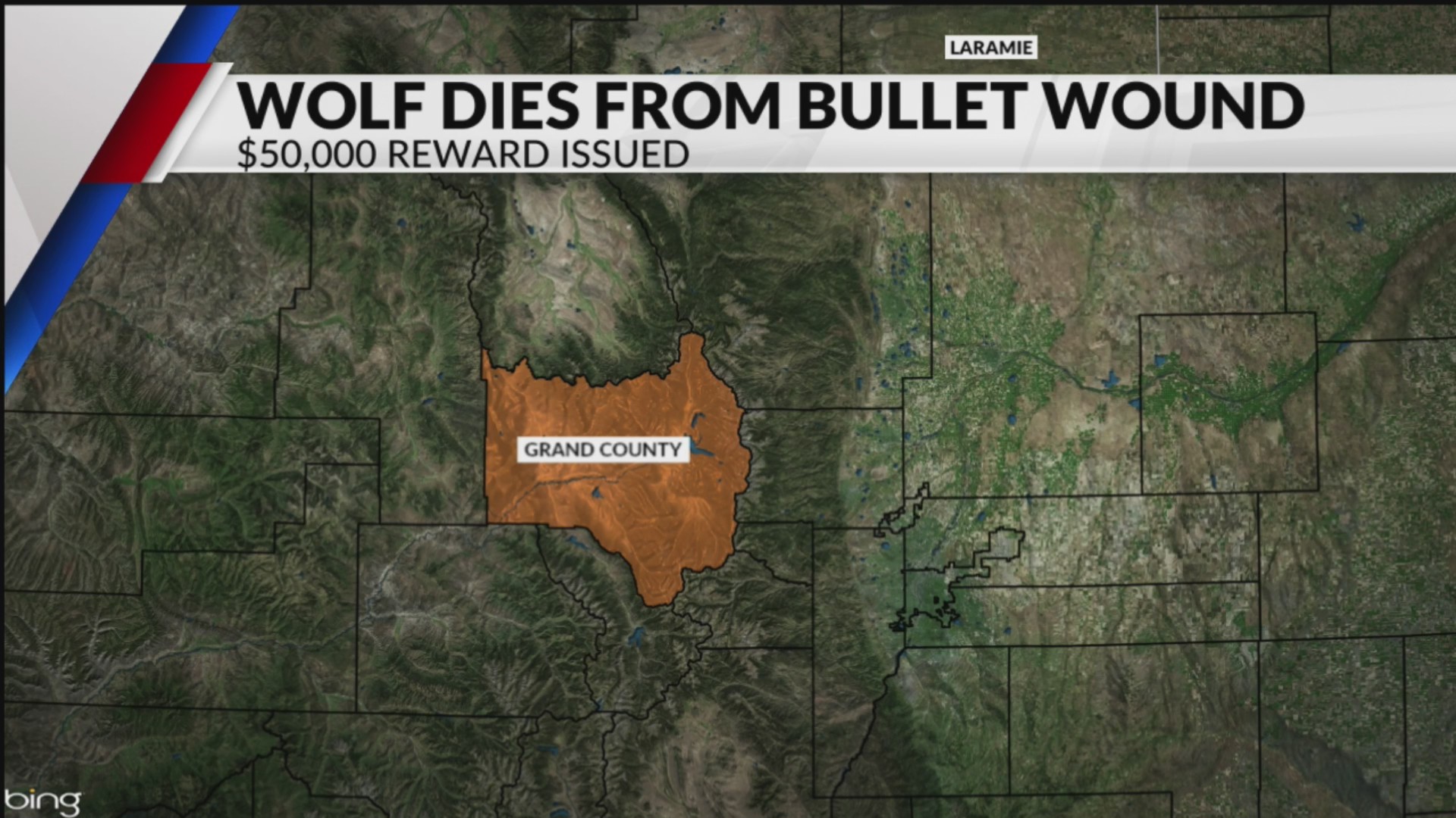 Wolf killed in Grand County was shot; Federal officials seeking information