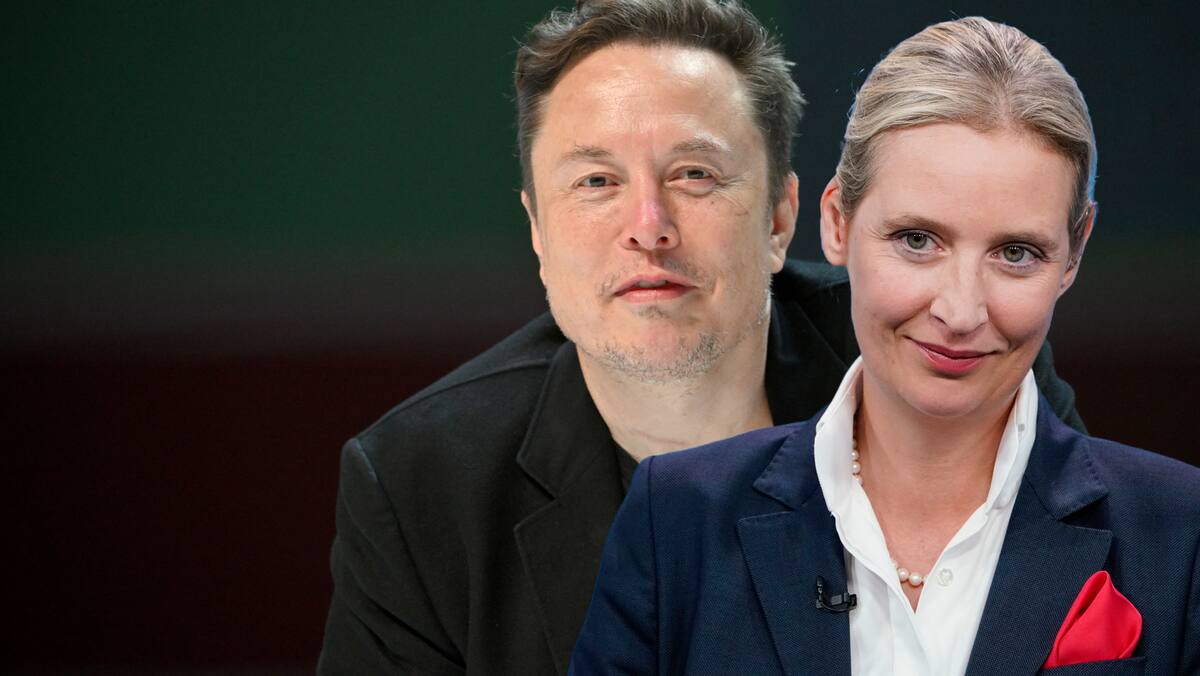 Live-Interview geplant: Fliegt AfD-Chefin Weidel für Treffen mit Musk ...